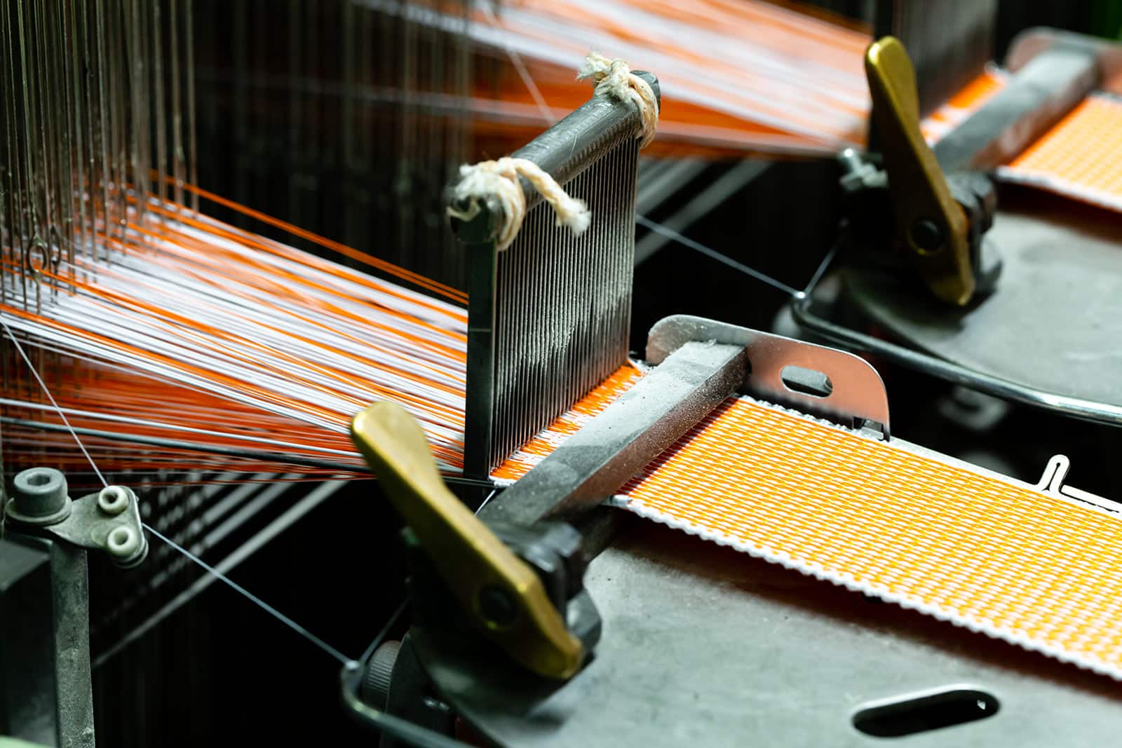 SANGLE ET ELASTIQUE - Lambin & Ravau